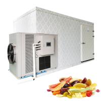 China Dried Papaya Mushroom Jackfruit Oven Dryer Machine Heat Pump For Fruit Vegetable for sale