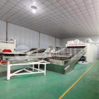 China Shouchuang Belt Type Fruit Dryer Avocado Automatic Drying Equipment for sale