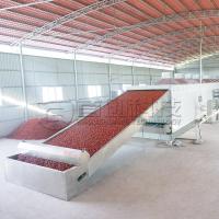 China 10 Tons Capacity Chili Drying System Pepper Mesh Belt Dryer Automatic OEM for sale