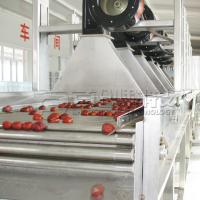 China Chili Pepper Drying System Mesh Belt Dryer Continuous Vegetable Spice Dryer for sale