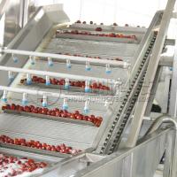 China Dehydrated Fruit Chips Continuous Belt Dryer Avocados Peaches Plums Drying System for sale