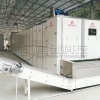 China Dehydrated Fruit Chips Continuous Belt Dryer Avocados Peaches Plums Drying System for sale