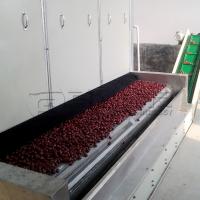 China Shouke Flower Herb Continuous Belt Dryer Lily Sweet Chamomile Rose Drying System for sale