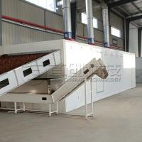 China Jujube Plum Fig Prune Mesh Belt Dryer Dried Fruit Drying System for sale