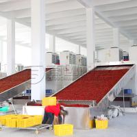 China Efficient Hot Pepper Drying System with Automatic Chili Dryer Machine Hot Air Circulation for sale