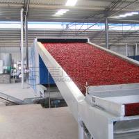 China Efficient Hot Pepper Drying System with Automatic Chili Dryer Machine Hot Air Circulation for sale