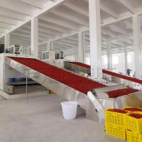 China Consistent Quality Hot Pepper Chili Drying Solution Automated Chili Spice Dryer Machine for sale