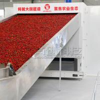 China Consistent Quality Hot Pepper Chili Drying Solution Automated Chili Spice Dryer Machine for sale