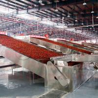 China High Performance Hot Pepper Chili Drying Line Automatic Chili Dryer Machine Industrial for sale