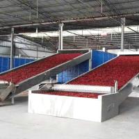 China Shouchuang Chili Dryer Machine Automatic 1-50 Tons Capacity Spicy Drying Equipment for sale