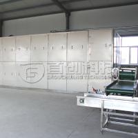 China Continous Belt Pistachio Macadamia Dryer Nuts Beens Drying System for sale