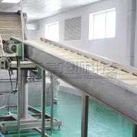 China Large Output Continous Belt Dryer Pecan Walnut Drying Cabinet for sale