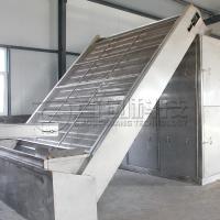 China Large Output Continous Belt Dryer Pecan Walnut Drying Cabinet for sale