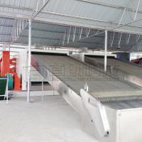 China SS304 Walnut Belt Dryer Machine High Output Beans Nuts Drying Equipment for sale