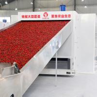 China SUS304 Mesh Belt Pulse Air Supply Chili Dryer Machine Industry Agricultural Products Dryer for sale