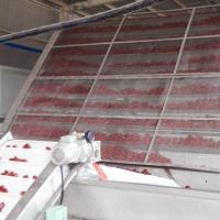 China Automation Multilayer Continuous Belt Dryer Heat Pump AC380V for sale