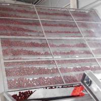 China Automation Multilayer Continuous Belt Dryer Heat Pump AC380V for sale