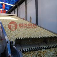 China Industrial Vegetable  Fruit Drying Production Line ISO9001 AC220V Customized Length for sale