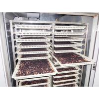 China ISO9001 Industrial Fruit Oven Dryer Machine Hot Air Electric Auxiliary Heat 6m 8m for sale
