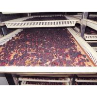China ISO9001 Industrial Fruit Oven Dryer Machine Hot Air Electric Auxiliary Heat 6m 8m for sale