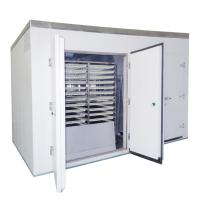 China ISO9001 Industrial Fruit Oven Dryer Machine Hot Air Electric Auxiliary Heat 6m 8m for sale