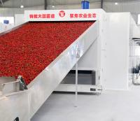 China SGS Fruit Red Jujube Goji Berry Continuous Belt Dryer Machine Large Capacity for sale
