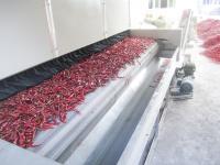 China Automatic Cycle Flip Chili Dryer Machine Ensure Uniform Heating Inside And Outside for sale