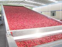 China Automatic Cycle Flip Chili Dryer Machine Ensure Uniform Heating Inside And Outside for sale