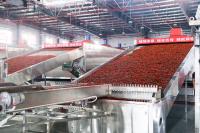 China Automatic Cycle Flip Chili Dryer Machine Ensure Uniform Heating Inside And Outside for sale