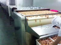 China Black Soldier Shrimp Mirowave Dryer Machine 220V 50 To 500kg/ H Tunnel Drying Machine for sale