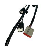 China Customized Light Wiring Harness Cable Assembly For Automotive Industry for sale
