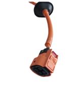 China PTC Automotive Wiring Harness automobiles High Voltage Wiring Harness for sale