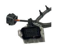 China Copper Wire Automotive Transmission Wiring Harness For Gearbox Corrosion Resistant for sale