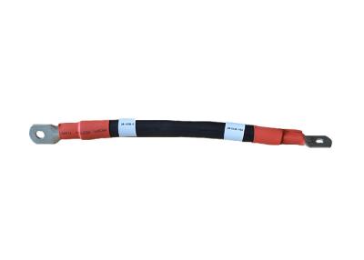 China Cold Pressed Terminal Connect 300mm Electronic Wire Harness for sale