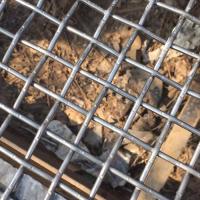 China 304/316/316L Stainless Steel Woven Wire Mesh Plain Weave for Filters with Welding & Bending Services for sale