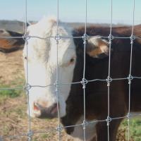 China Cheap Price With Hot Sale Factory Suppliers Wire Mesh Roll Deer Field Farm Fence for sale
