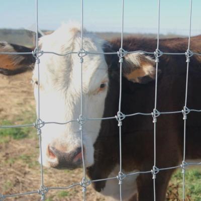 China Cheap Price With Hot Sale Factory Suppliers Wire Mesh Roll Deer Field Farm Fence for sale
