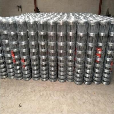 China 2.0mm Wire Diameter 1.6m Height 50m Length Farm Fence for Deer Sheep and Livestock Enclosures for sale