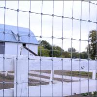 China Hot Dipped Galvanized Woven Wire Mesh Fence 0.8m to 2.4m Height with Hinge Joint Knot for Farm and Stock Fencing for sale