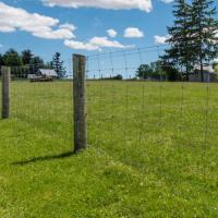 China High Tensile Galvanized Eco Friendly Farm Wire Mesh Fence for Cattle and Field Fencing for sale