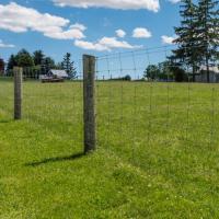 China Hot Dip Galvanized Farm Fence with Graduated Mesh Design and Hinge Joint Construction for Cattle and Field Protection for sale