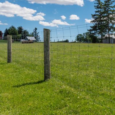 China Hot Dip Galvanized Farm Fence with Graduated Mesh Design and Hinge Joint Construction for Cattle and Field Protection for sale