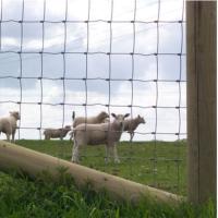 China Galvanized PVC Coated Fixed Knot Farm Fence with High Tensile Strength for Livestock and Field Protection for sale