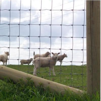 China Heavy Duty 2.5mm Galvanized 1.5m High Deer Fence for Farm and Wildlife Protection for sale