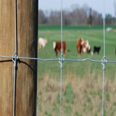 China 2.5mm Galvanized High-Tensile Steel Farm Fence with Graduated Mesh Design for Cattle and Ranch for sale