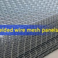 China Anti-Rust Hot Dipped Galvanized Welded Wire Mesh Panels with PVC Coating for Fencing and Construction for sale