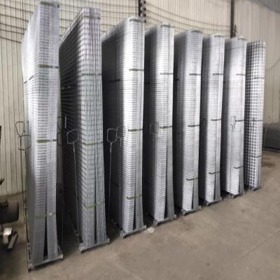 China Hot Dipped Galvanized Welded Wire Mesh Panels 100×50mm Mesh in 30m Roll for Garden and Security Fencing for sale
