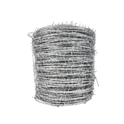 China Galvanized High Tensile Barbed Wire for Farm Fencing and Security Perimeter Protection for sale