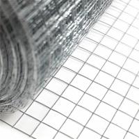 China Galvanized Welded Wire Mesh Roll with 1cm Grid and Corrosion Resistance for Wall Anti Crack Applications for sale