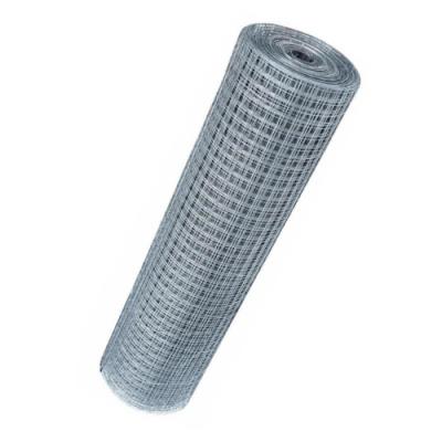 China Square Hole Galvanized Electro Welded Wire Mesh for Garden Protection with Flat Welding for sale